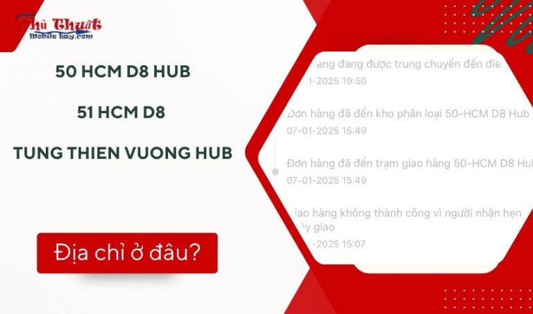 51 HCM D8 Tung Thien Vuong hub, 50 HCM D8 Hub ở đâu?